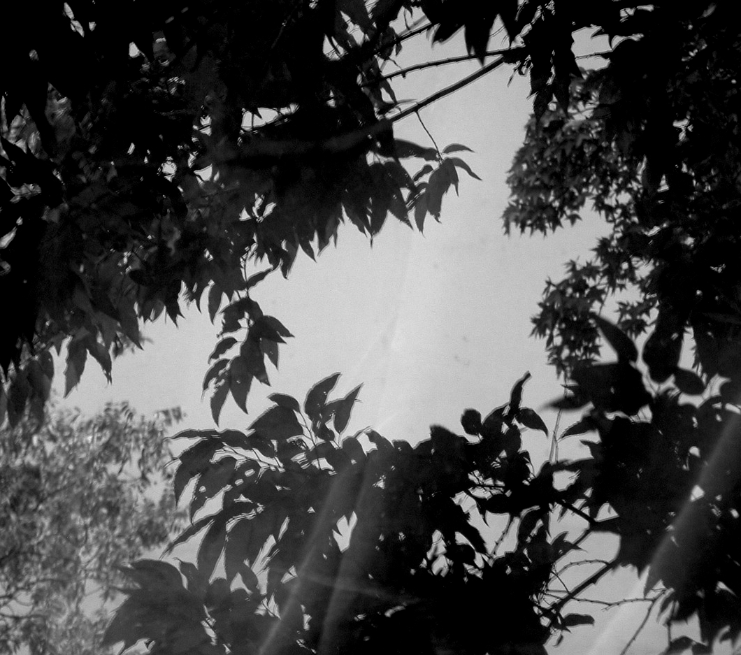 Brian Teasley presents SAFE HARBOR: THE AUBURN INDEPENDENT AND PUNK ...