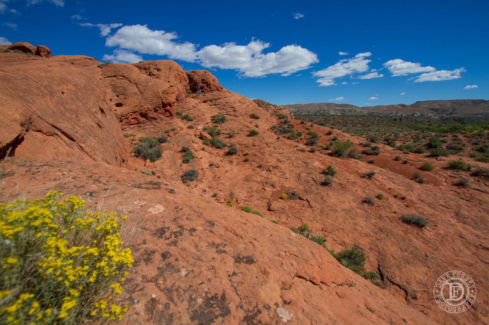 The Forney Flyer: Red Cliffs 1