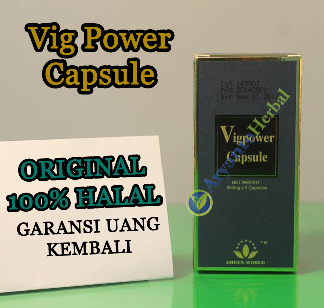 Khasiat Vig Power Capsule Obat Tahan Lama Diranjang ~ Obat Agar Tahan ...