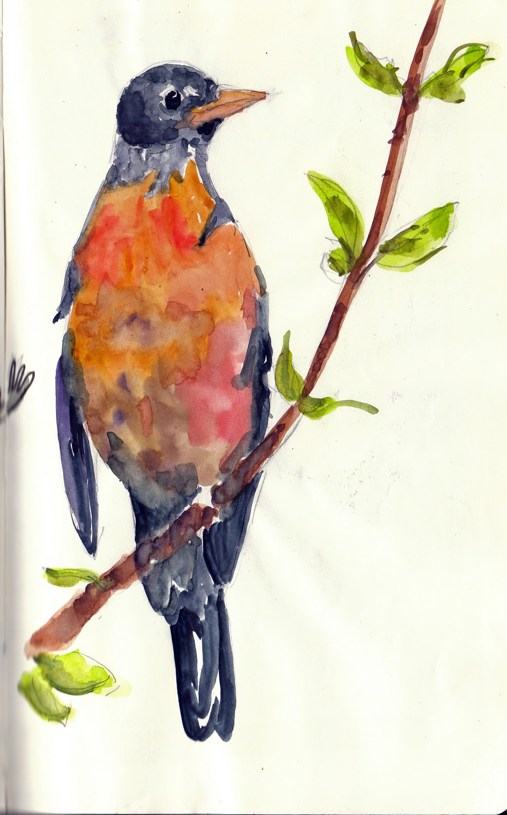 Noreen Molek: First robin of spring