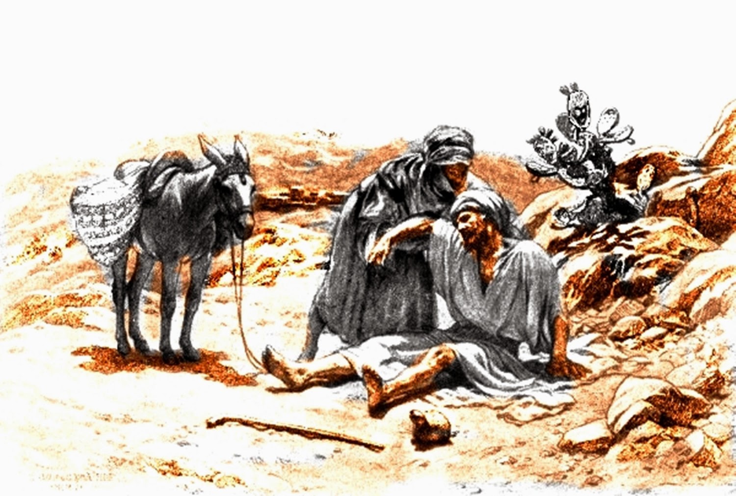 Eliseu Antonio Gomes: O Bom Samaritano e a vida eterna