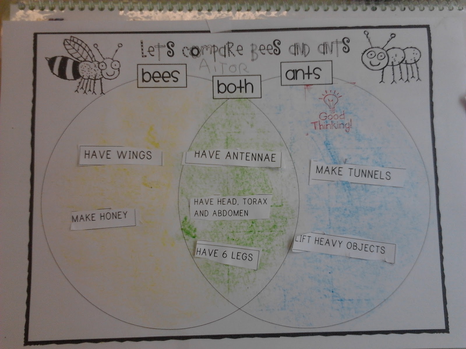 THE TEACHING EXPRESS: COMPARING ANTS AND BEES