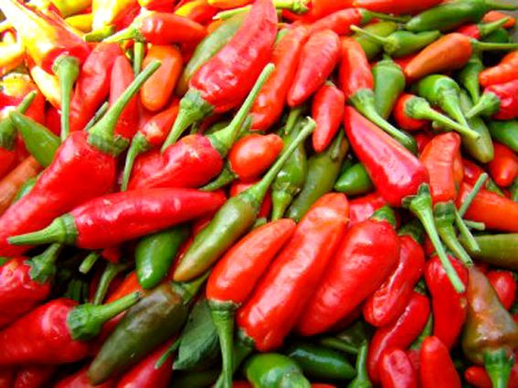 Malagueta pepper - Alchetron, The Free Social Encyclopedia