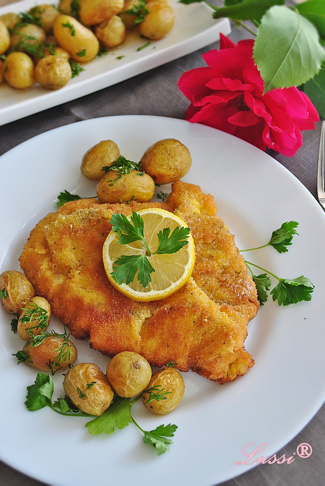 Lussi`s World of Artcraft: Традиционен немски шницел / Traditional ...