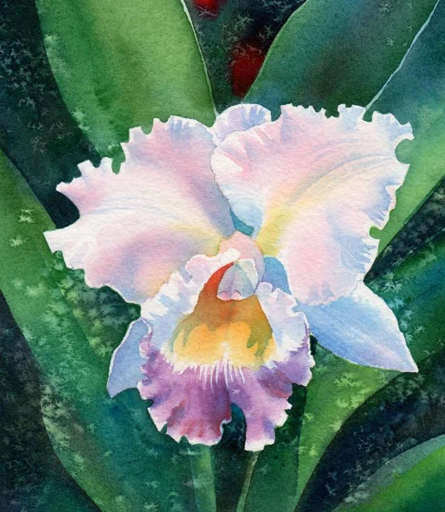 Barbara Fox ~ Watercolor painter | Tutt'Art@ | Pittura * Scultura ...