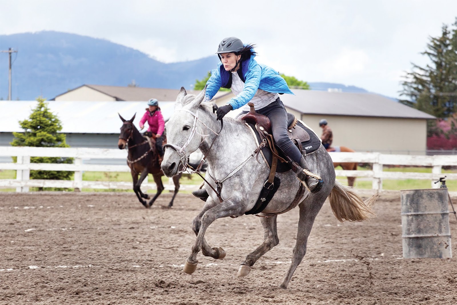 Mules and More Magazine: Repurposing Retired Race Mules