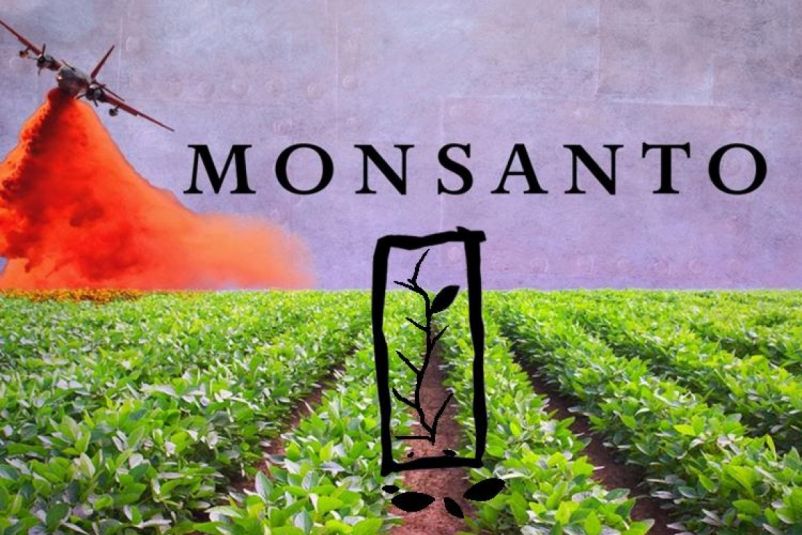 “Monsanto Papers”, la filial Argentina de Monsanto también sabía que el ...