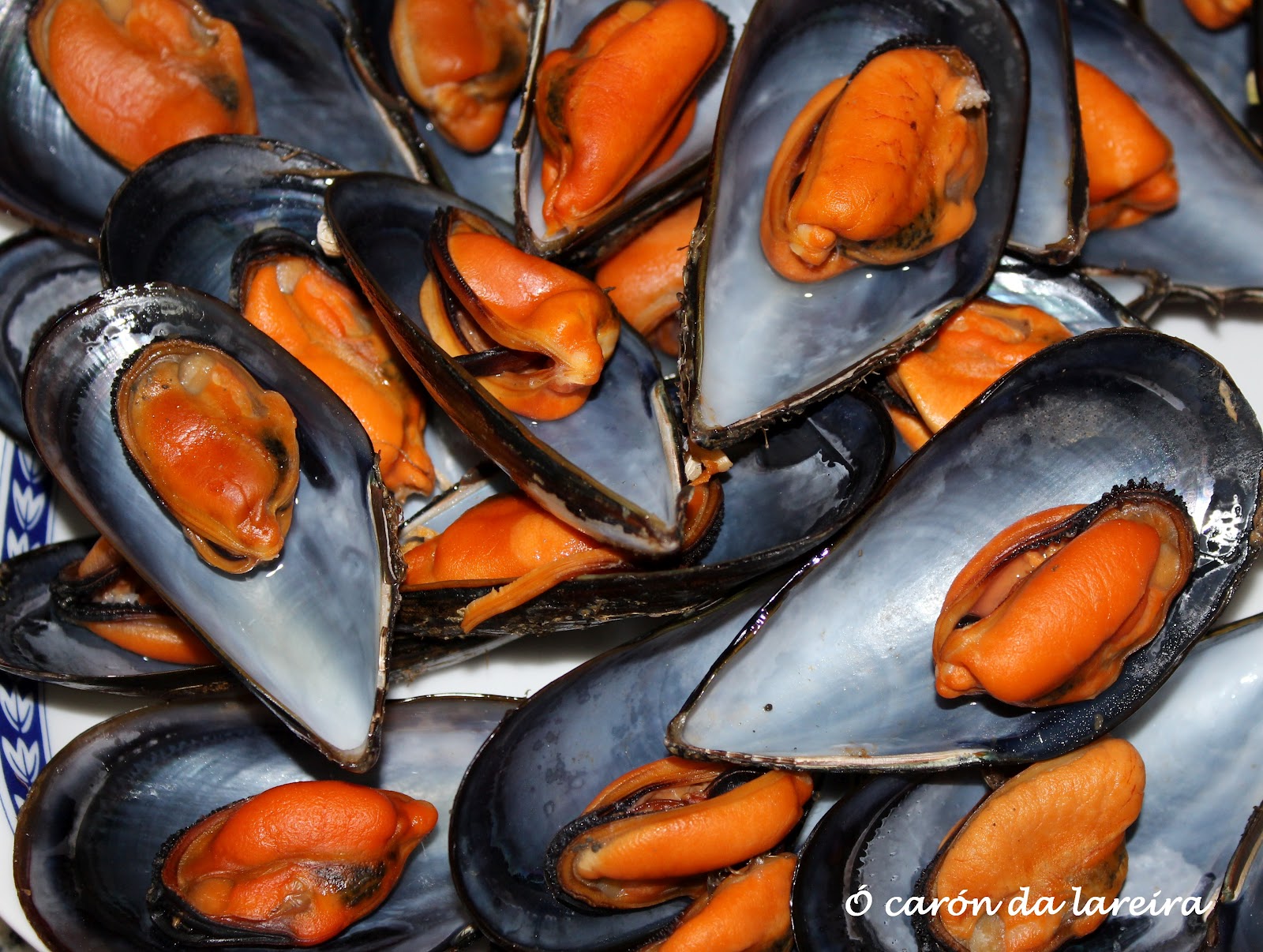 Mejillones al vapor