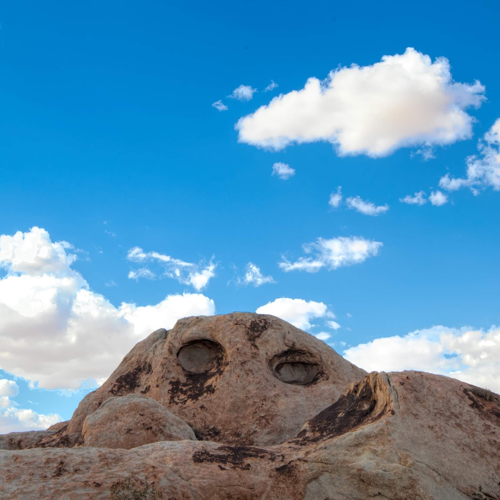 Spare Parts and Pics: Spooky Desert Things...