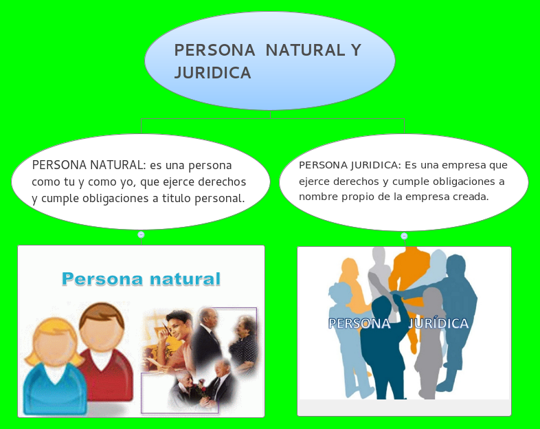 persona natural y juridica - empresas ~ MARISA DOLORES
