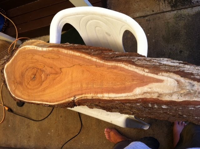 Rabbit Island Art: Chinaberry Wood from Waiamea Valley