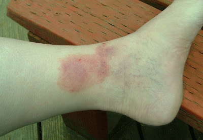 News From the Holmestead: September 2012