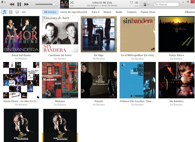 DISCOGRAFIA DE SIN BANDERA