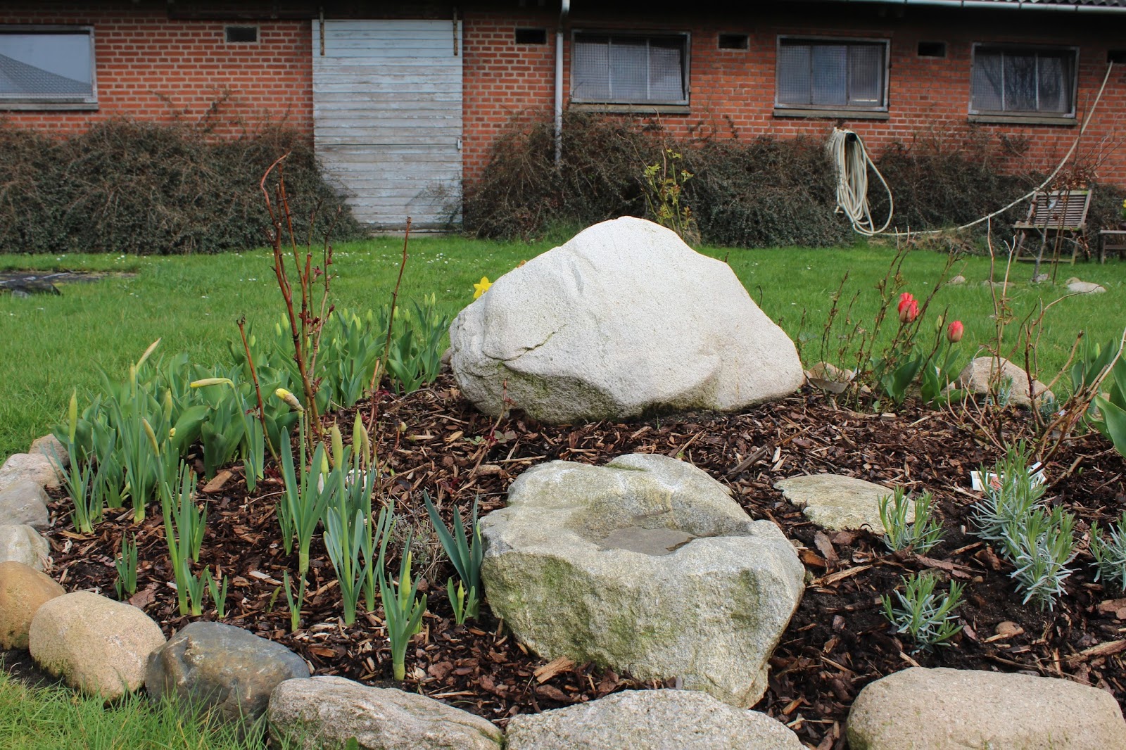 Aavangs have: Den hvide sten