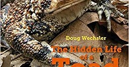 The Nonfiction Detectives: The Hidden Life of a Toad by Doug Wechsler