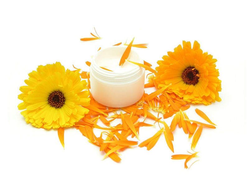 Naturally Beautiful Inside - Out: Easy Calendula Cream Recipe