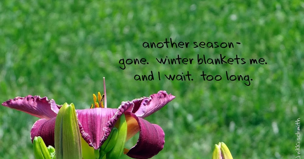 Oh, 2013! | Last Haiku of the Year | a girl and her garden - a daylily blog
