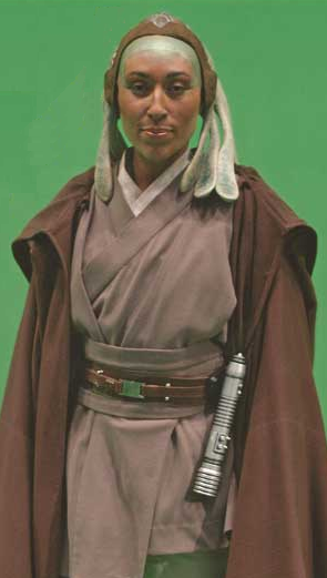 MIS ARCHIVOS DE STAR WARS: La Venganza de los Sith. Nina Fallon (Stass ...