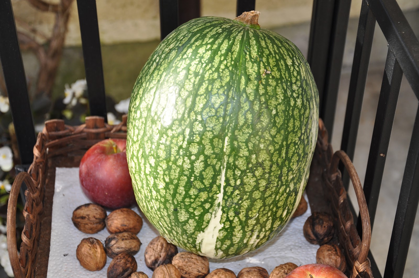 Dulce de cayote con nueces - Mordiendo la Galleta