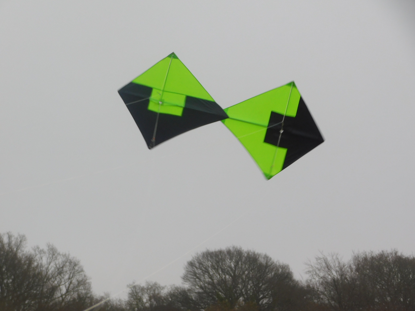 Peter Powell kites collection: Omni