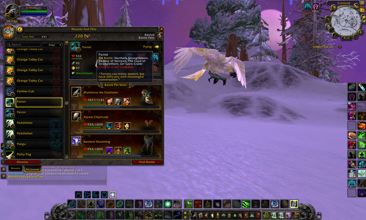 WOW Companion Collector: Parrot (uncommon lvl 9)