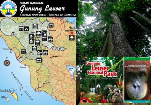 Mount Leuser National Park ( Aceh,Indonesia )