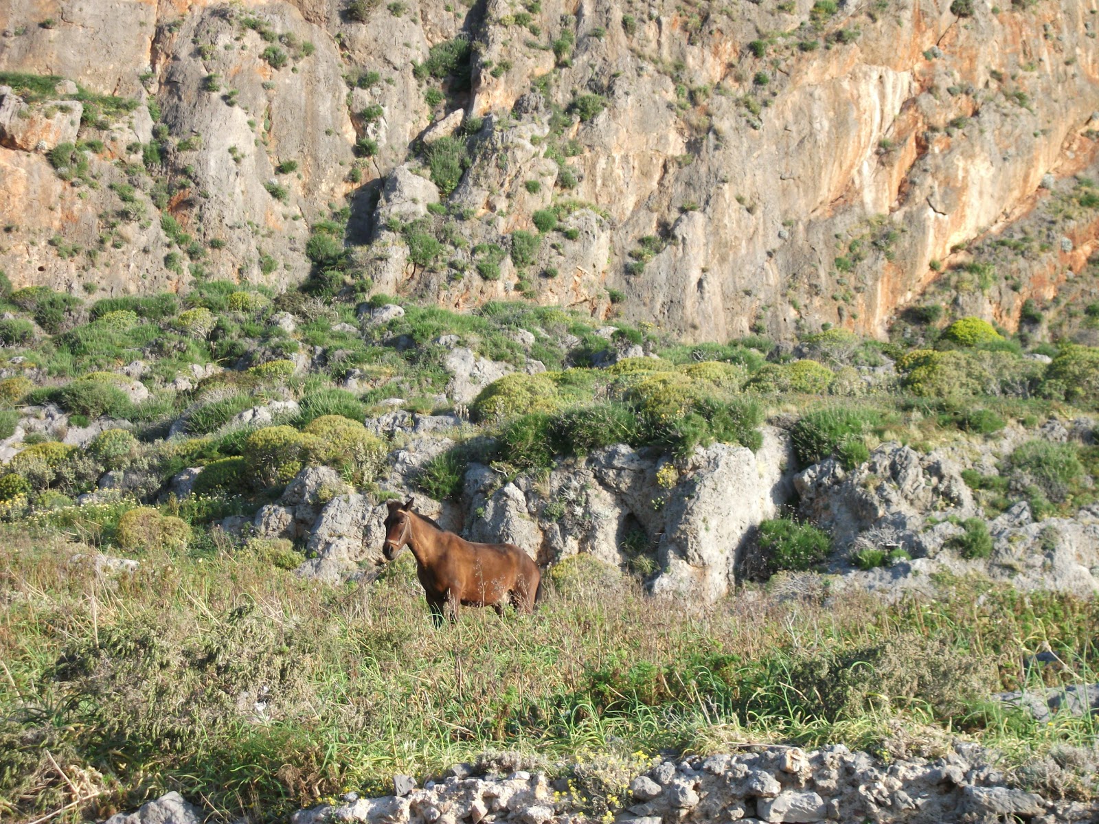 ακρη ελασσονας: ΜΟΝΕΜΒΑΣΙΑ η MONEMVASIA κειμενα απο το δικτυο ...