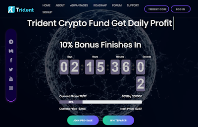 CryptOpp: Trident Crypto Fund Review