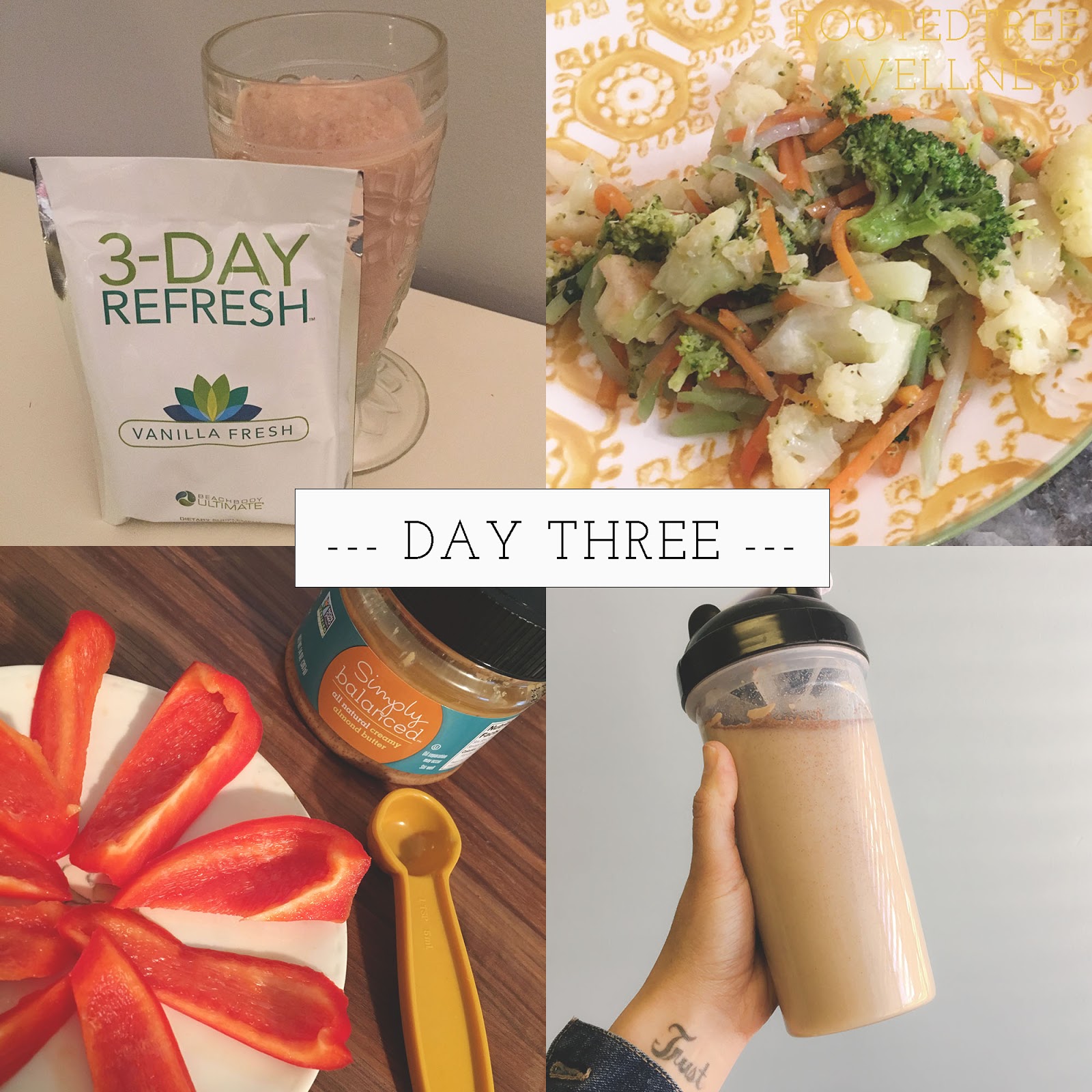 The 3 Day Refresh: A Review | Leah Seeks