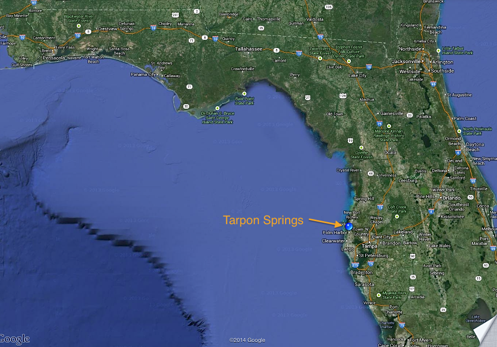 Tarpon Springs Zip Code Map - United States Map