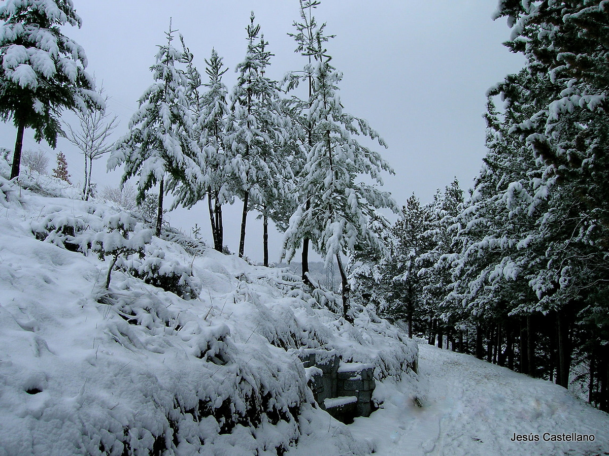 VISIÓN: FOTOS Y POESÍA: CAMINOS DE NIEVE