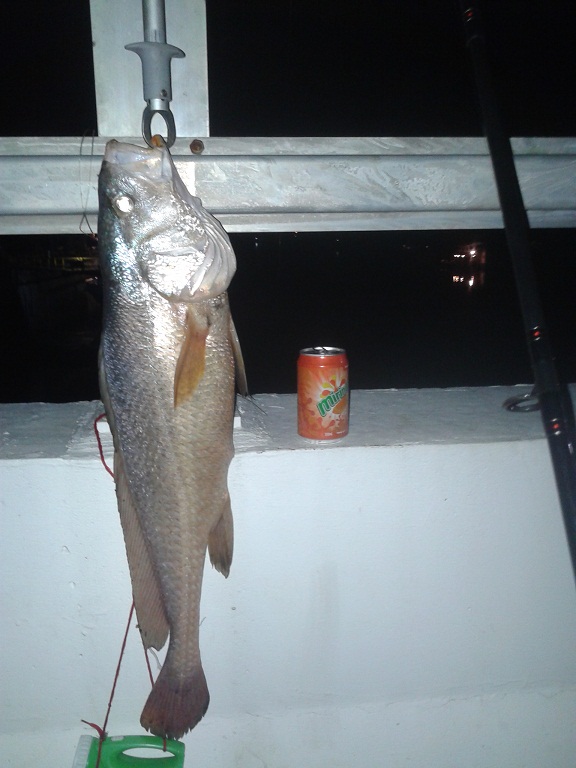 Fishing adventurers in Brunei waters: Ikan Terusan