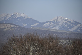 Mendiko osterak: Arnaba zirkularra Gastiain herritik