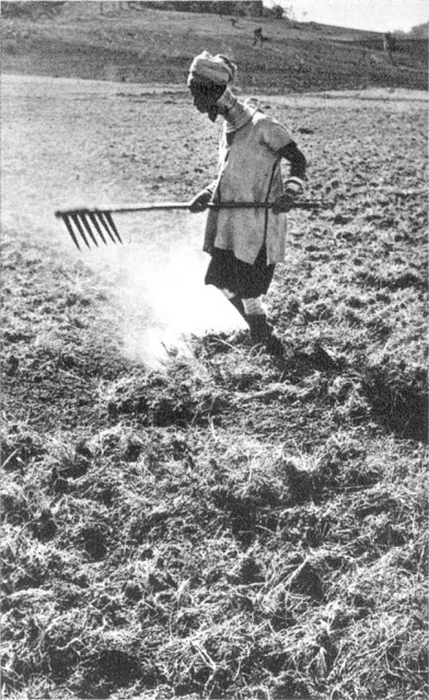 Kayan People: Incredible Vintage Photos of “Giraffe Women” in the 1950s ...