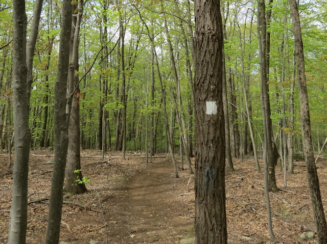Gone Hikin': High Mountain Park Preserve, NJ - Eastern Section
