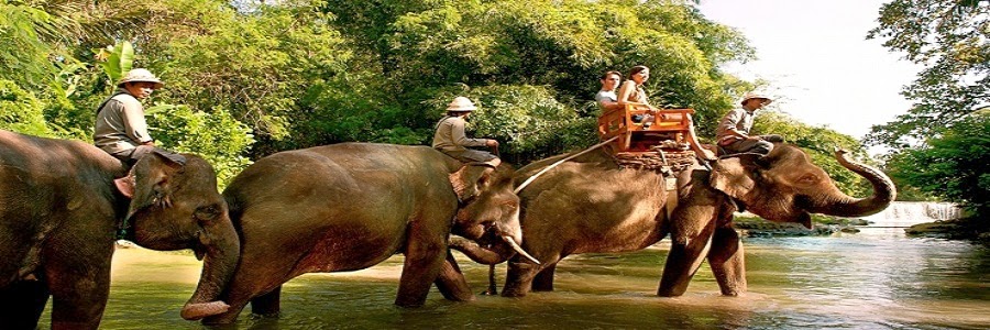 Bali Elephant Ride Tour | Best Bali Tour - Private Bali Tour Driver Service