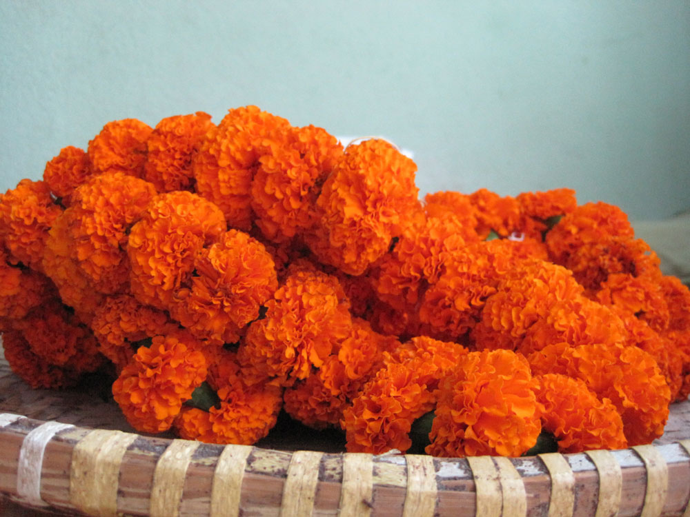 SHARE TWEET TELEGRAM WHATSAPP PIN IT SHARE