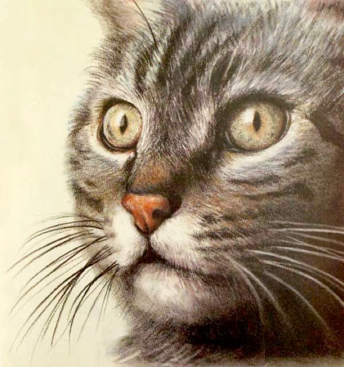 A thing of beauty is a joy forever: Jane Tanner