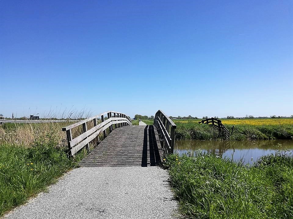 Dorpen en Steden van Nederland: Wolsum (Friesland)