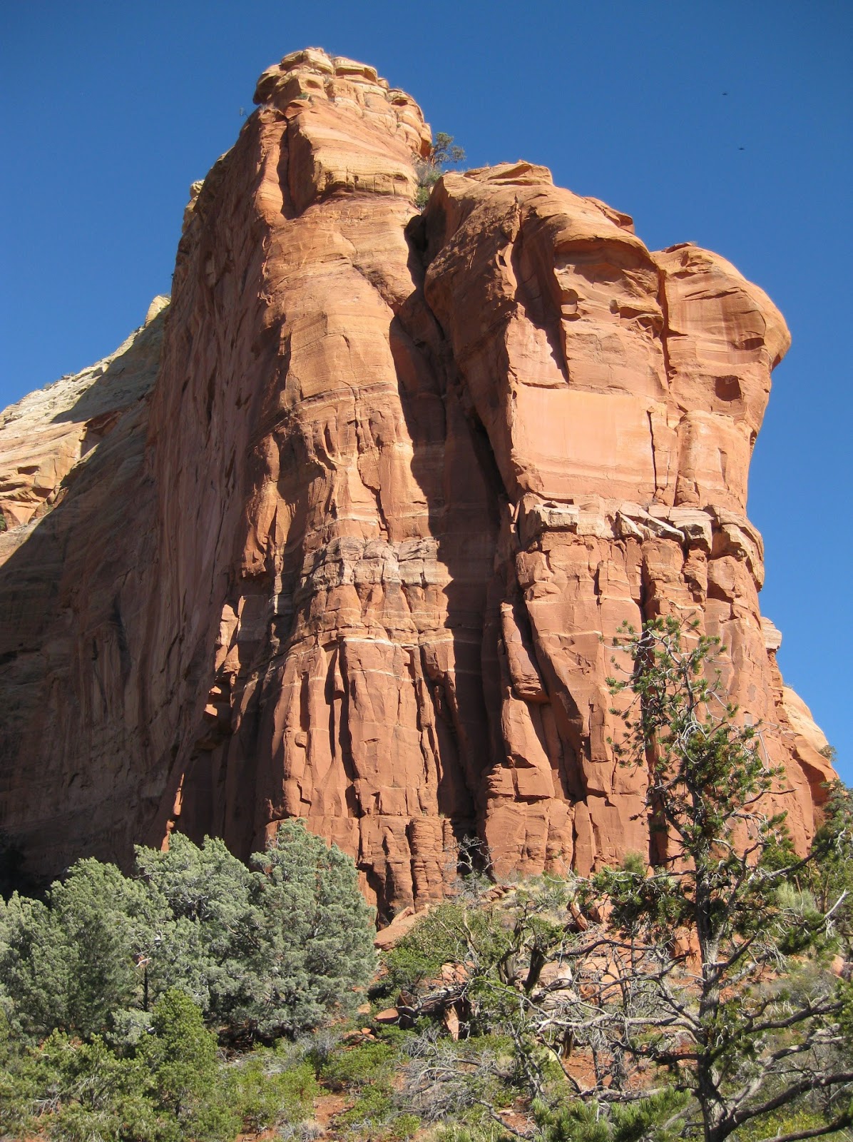 What's Up with Ellis: Cowpies-Mitten Ridge Trail