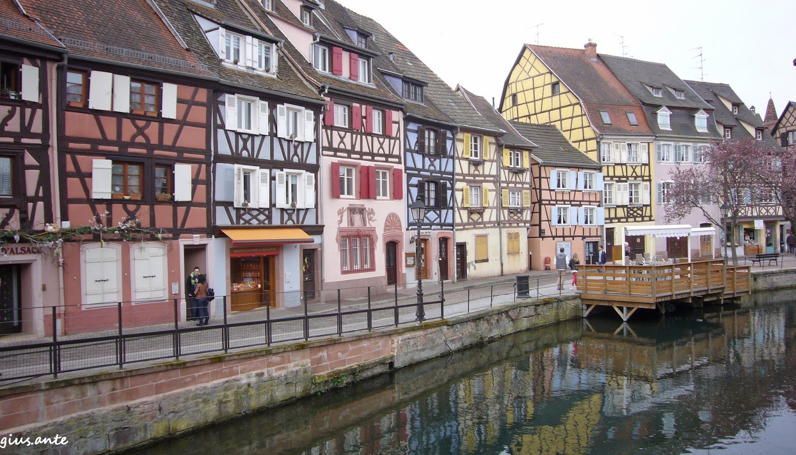 camminare leggendo: Colmar, la Madonna del roseto