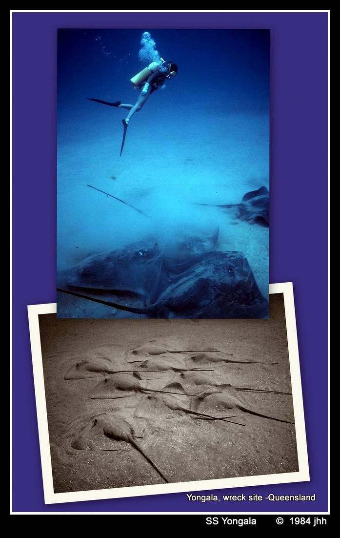 Shipwreck Bells: SS YONGALA