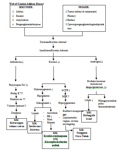 Askep Addison’s Disease - askep
