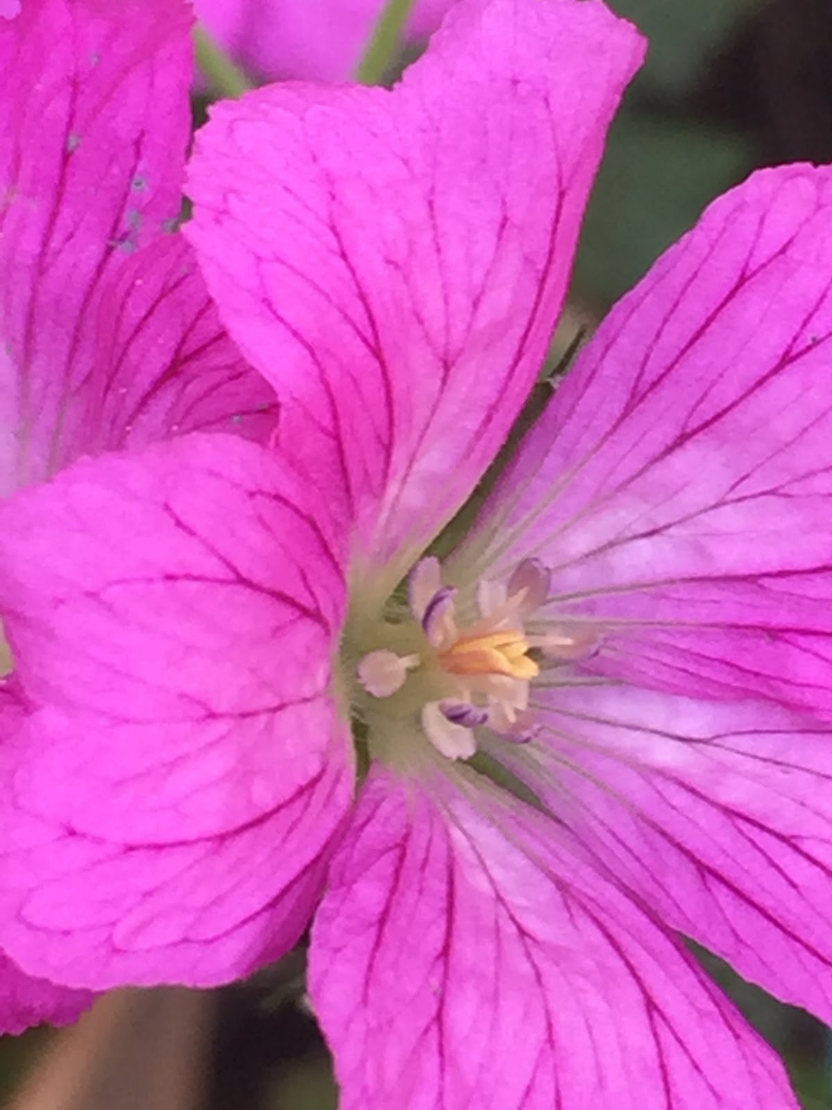 Trinity Bale's GCSE Media Blog: 2018