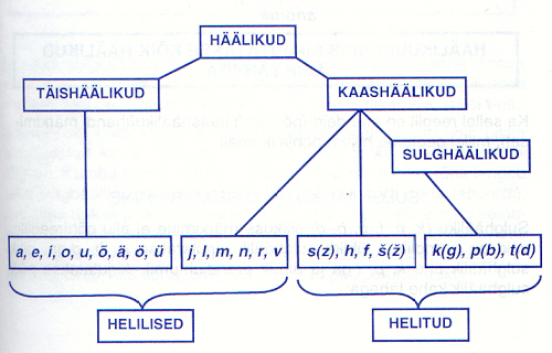 5V - MEIE KLASS: EESTI KEEL
