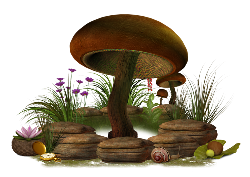 ® Colección de Gifs ®: IMÁGENES DE HONGOS