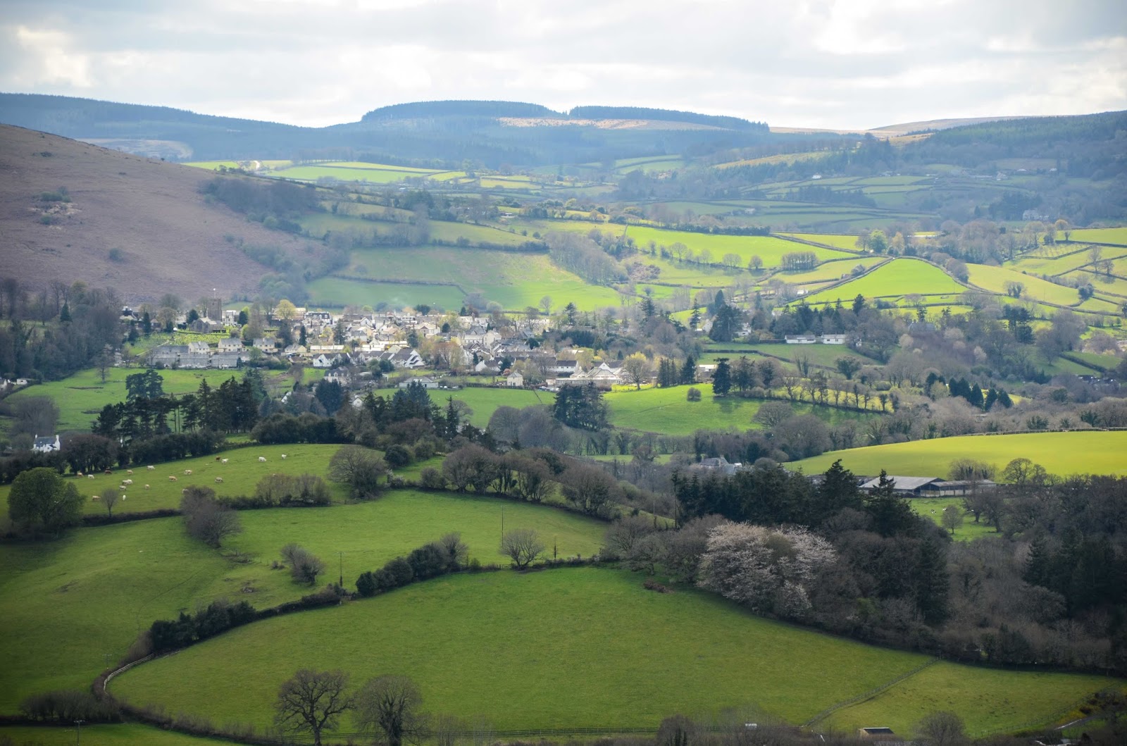 Classical Journey: Chagford Film Festival - Movies and Workshops ...