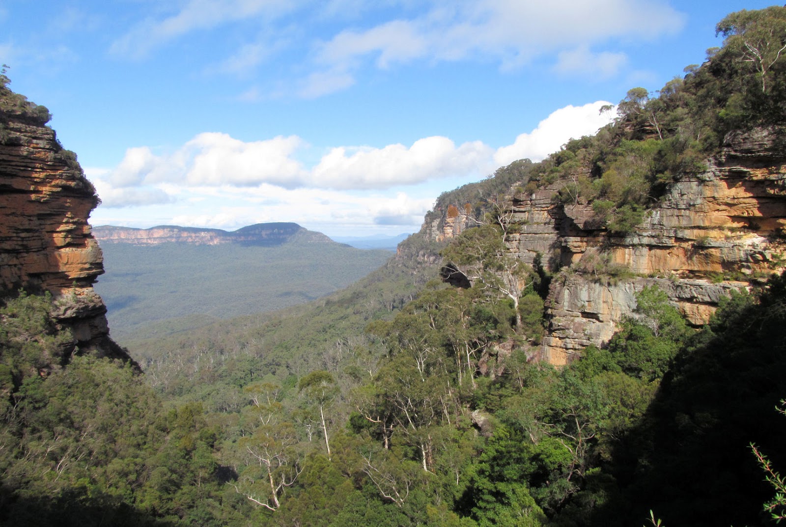 Prince Henry Cliff Walk (1) | Our Walks