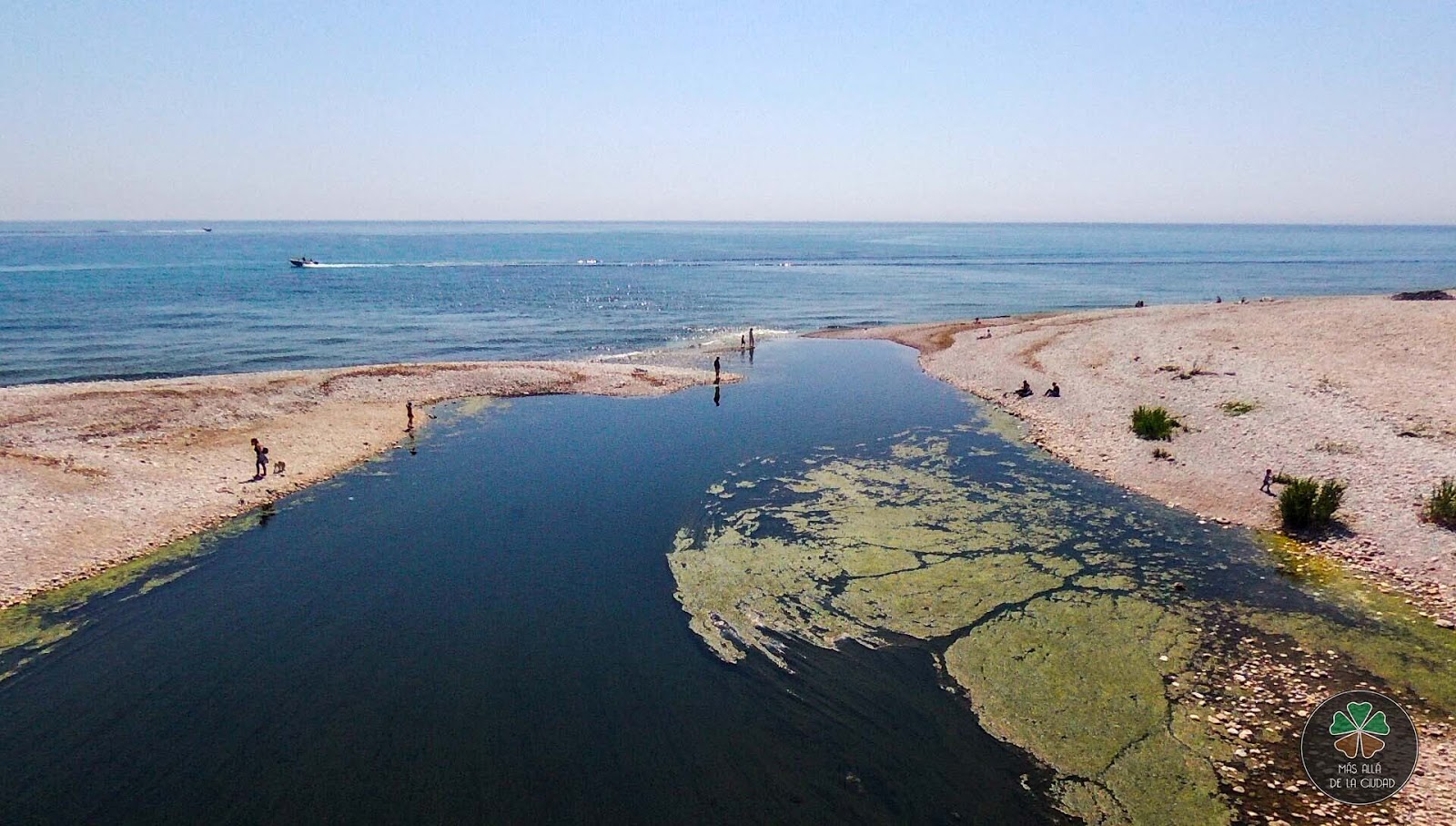 Ruta por la desembocadura del río Algar (Altea)