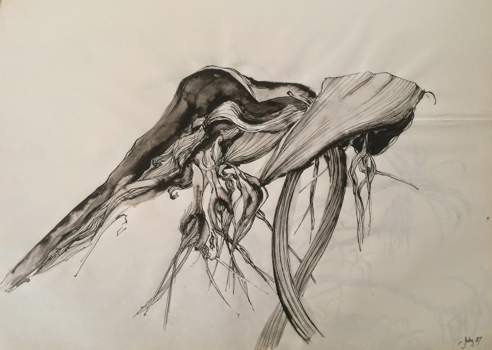 Jane Blundell Artist: Working in Ink